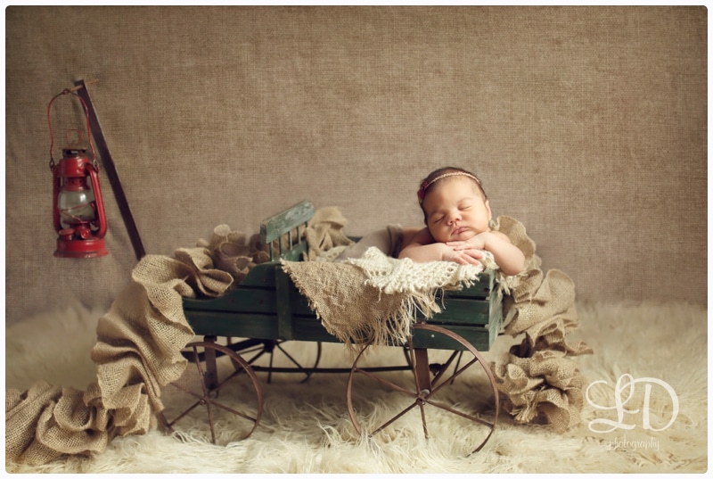 Susan B. - Lori Dorman Photography